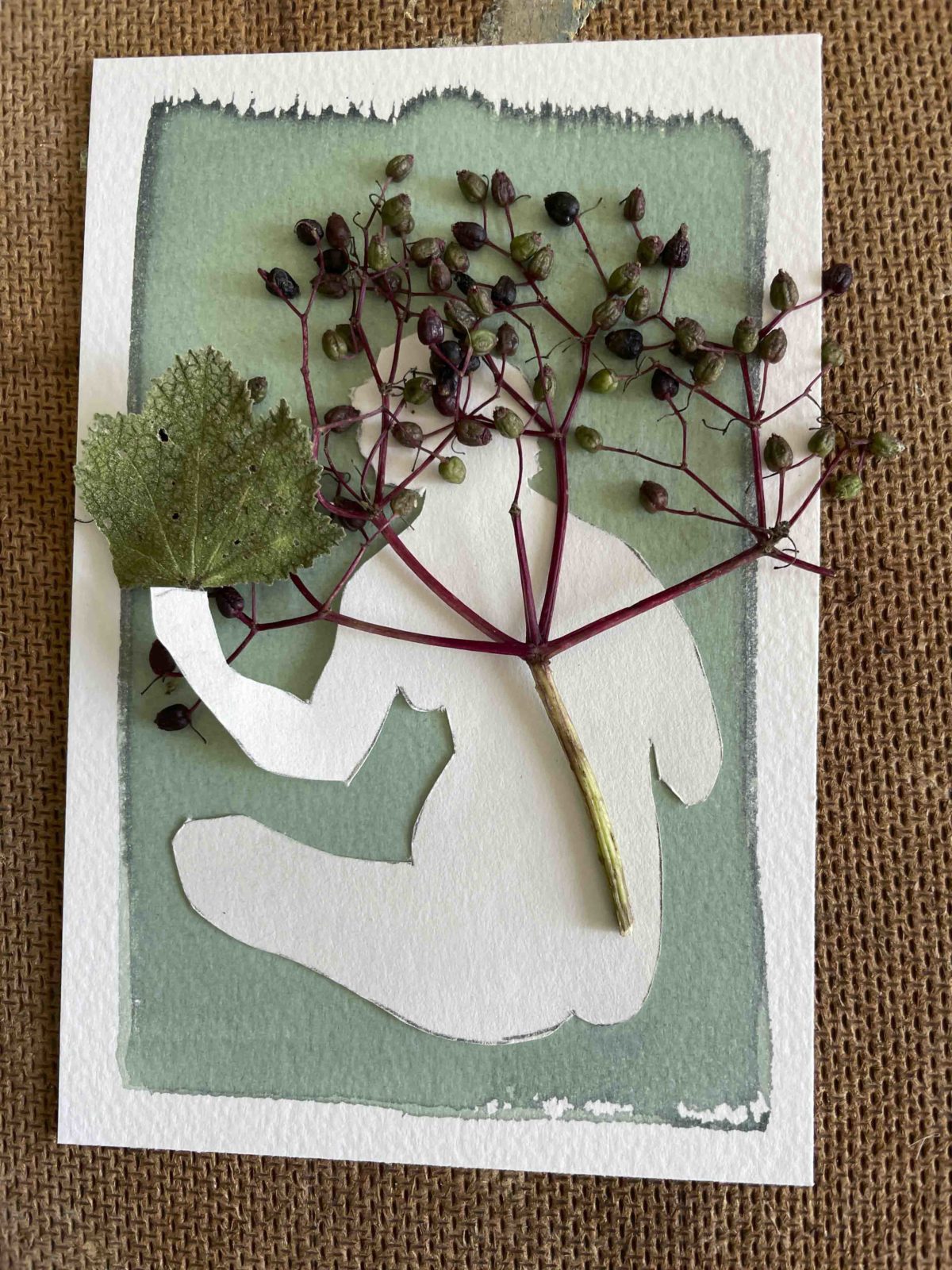 Cyanotypes - For The Love Of Blue. - Henrie Richer - Artist & Photographer