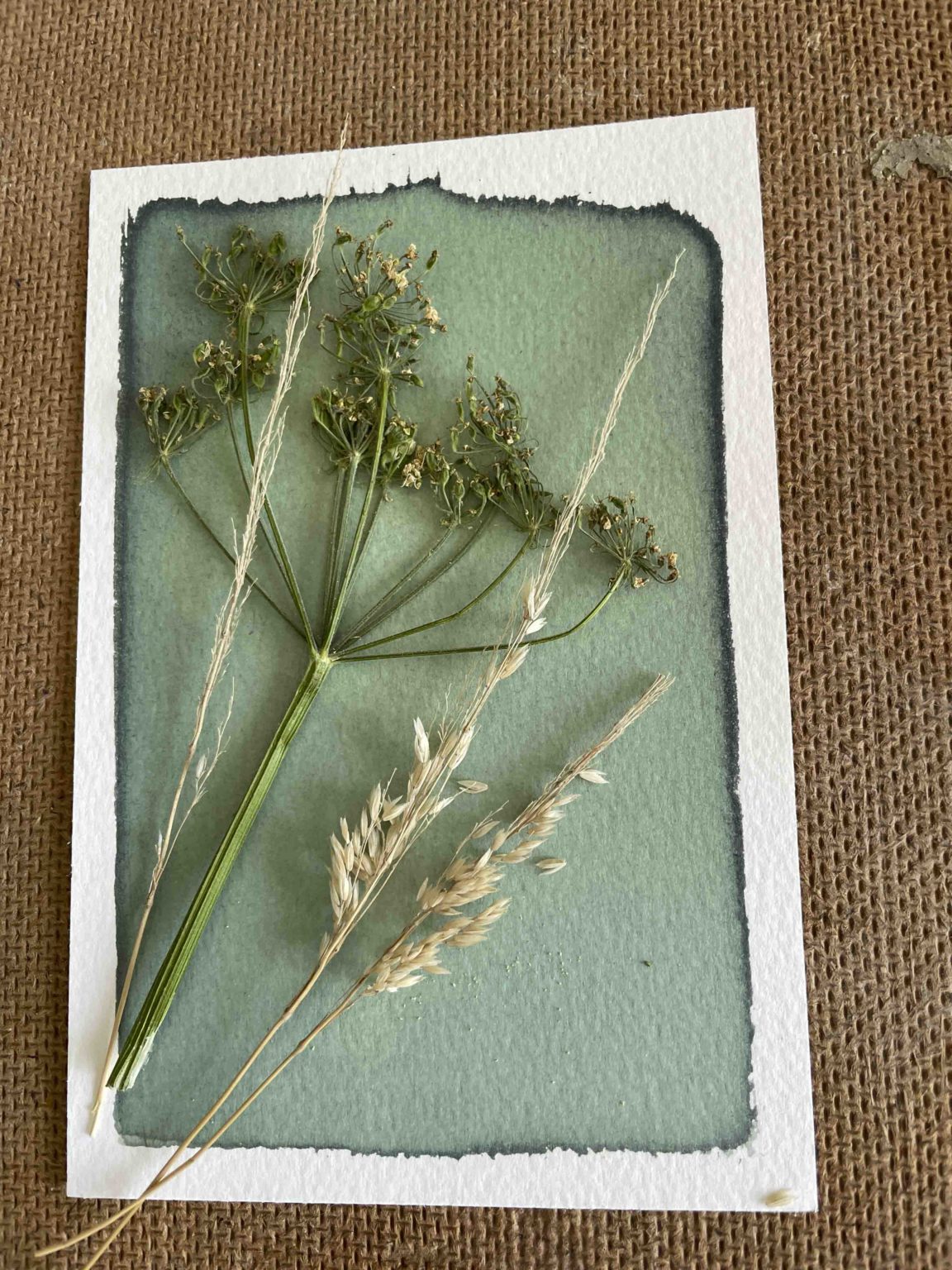 Cyanotypes - For The Love Of Blue. - Henrie Richer - Artist & Photographer