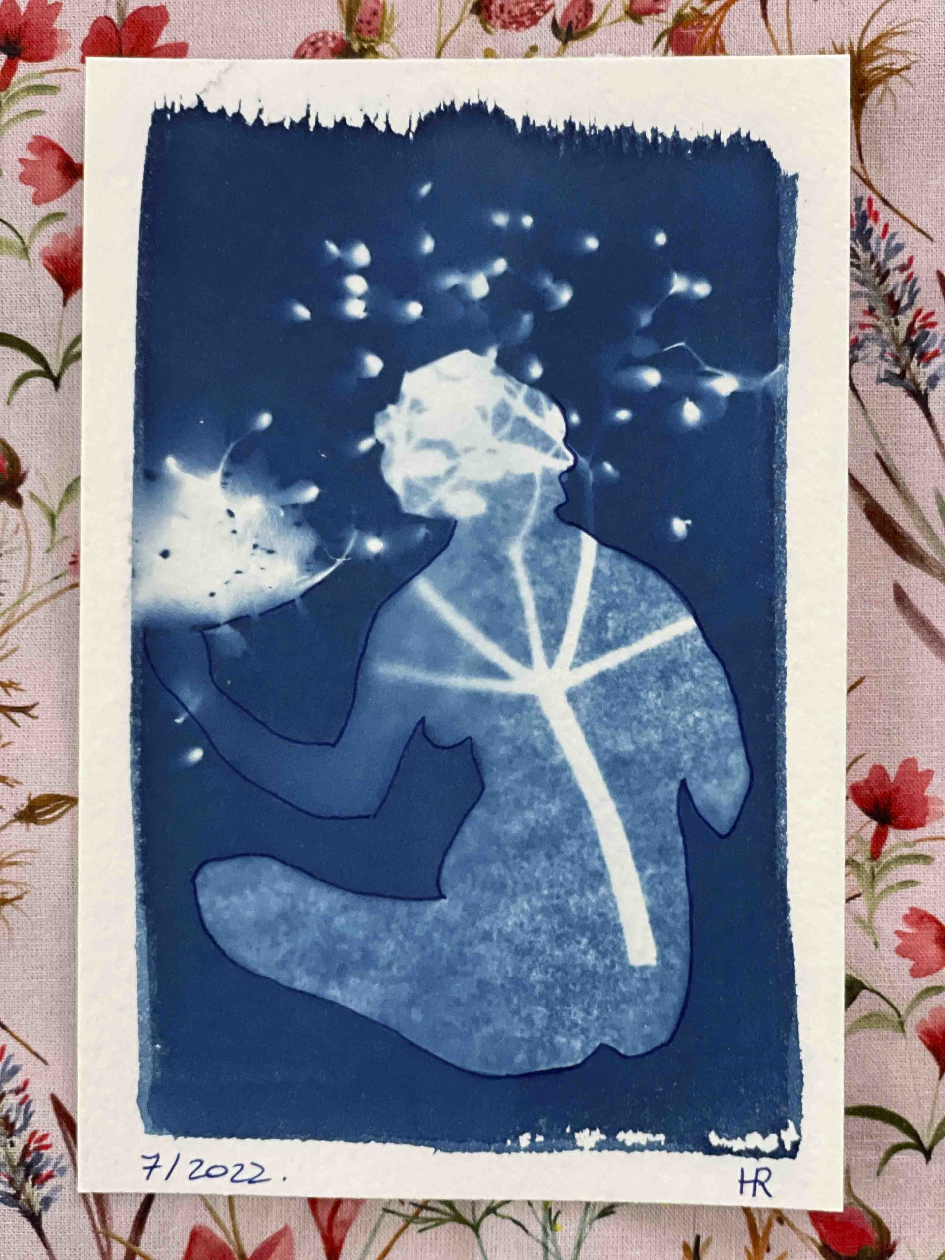 Cyanotypes - For The Love Of Blue. - Henrie Richer - Artist & Photographer