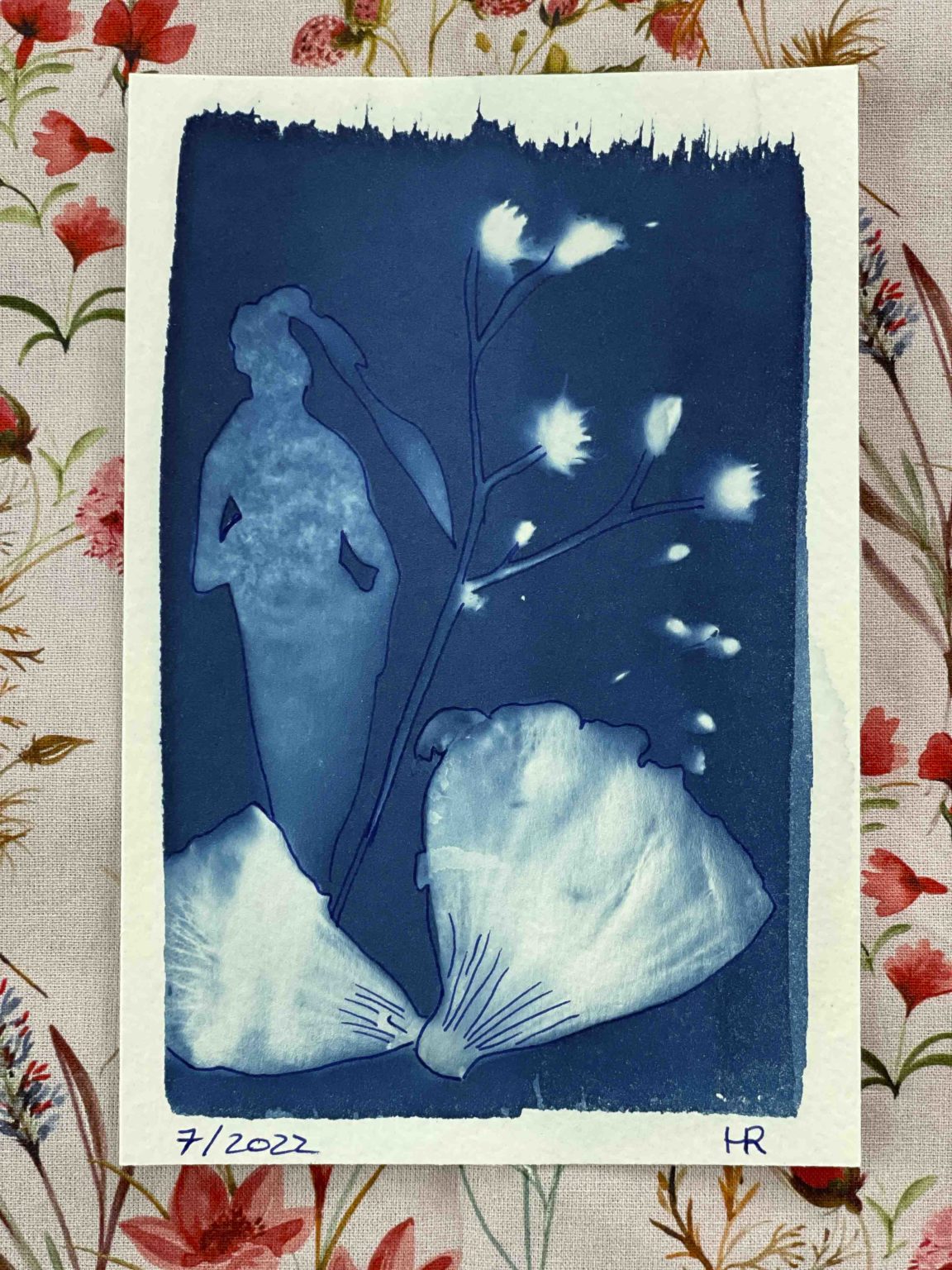 Cyanotypes - For The Love Of Blue. - Henrie Richer - Artist & Photographer