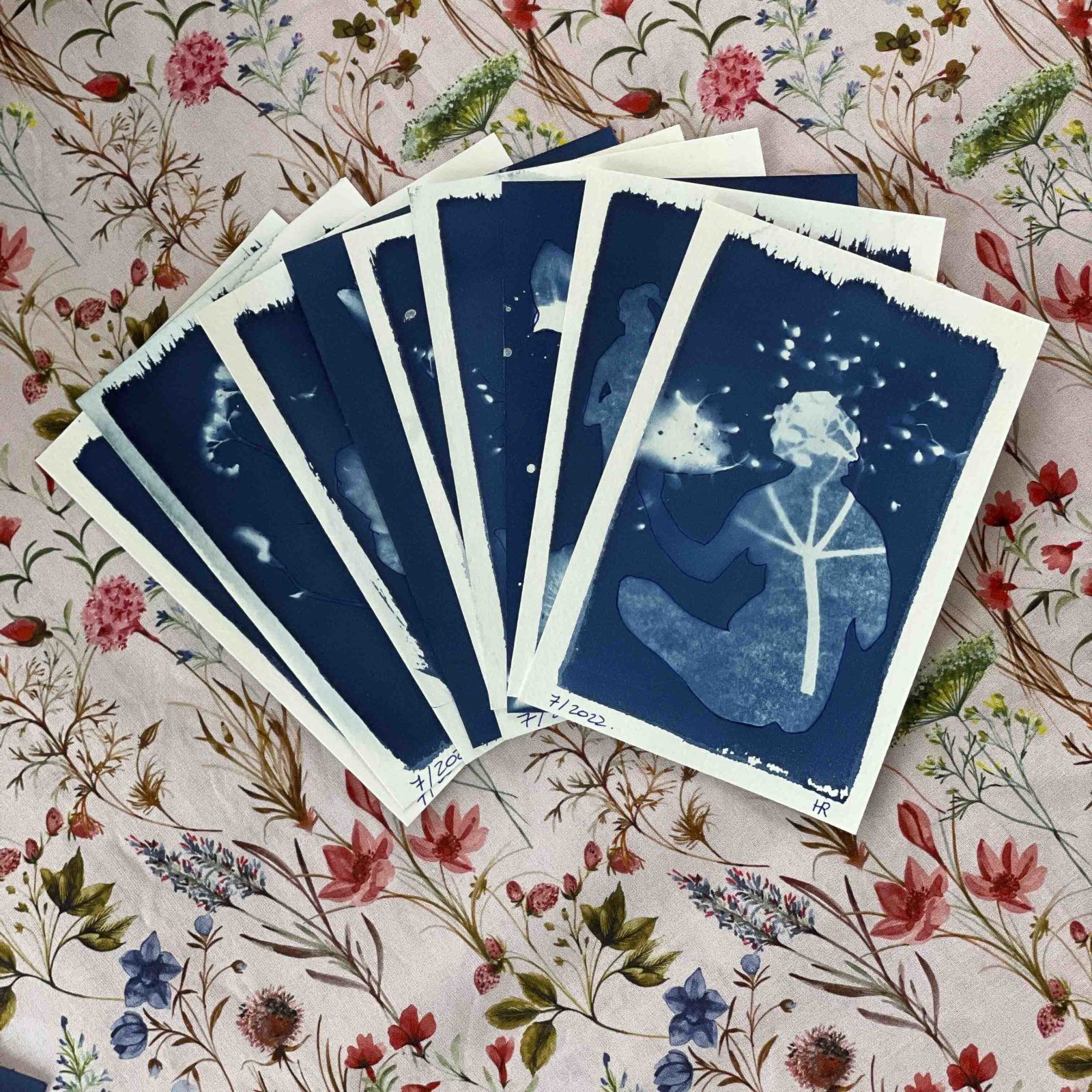 Cyanotypes - For The Love Of Blue. - Henrie Richer - Artist & Photographer